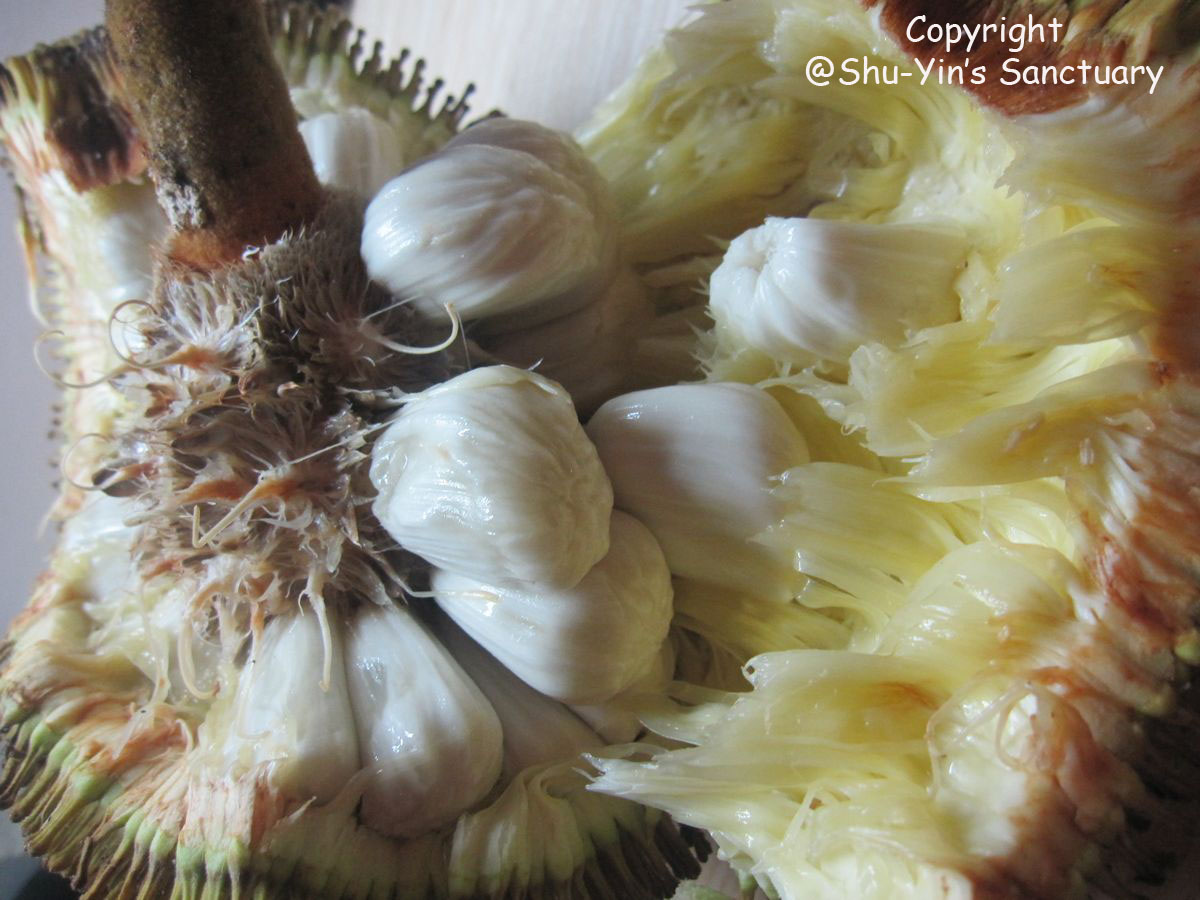 Shu-Yin's Sanctuary: Food We Ate in East Malaysia