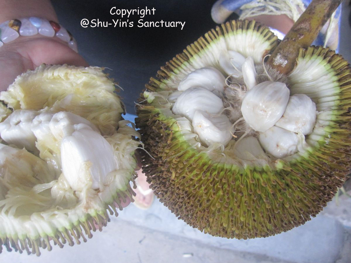 Shu-Yin's Sanctuary: Food We Ate in East Malaysia