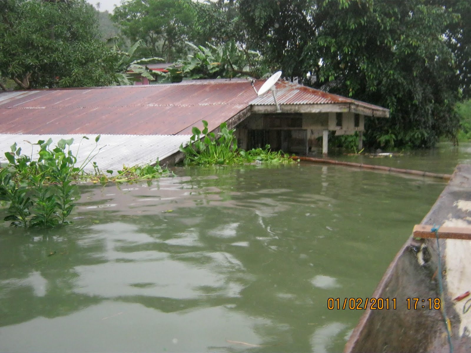 Jabonga, Agusan del Norte, Philippines: 201102