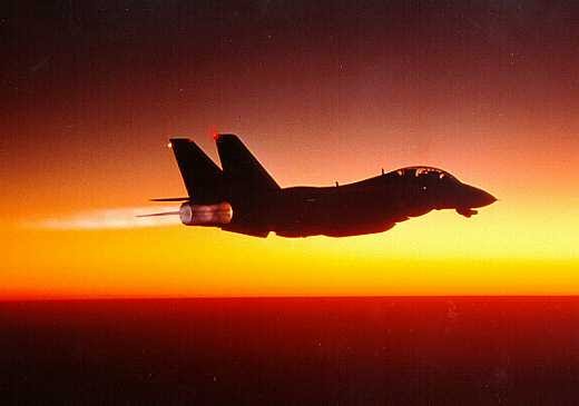 mvmhobby: F-14 By night