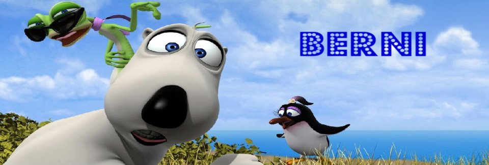 Oso bernardo - Imagui
