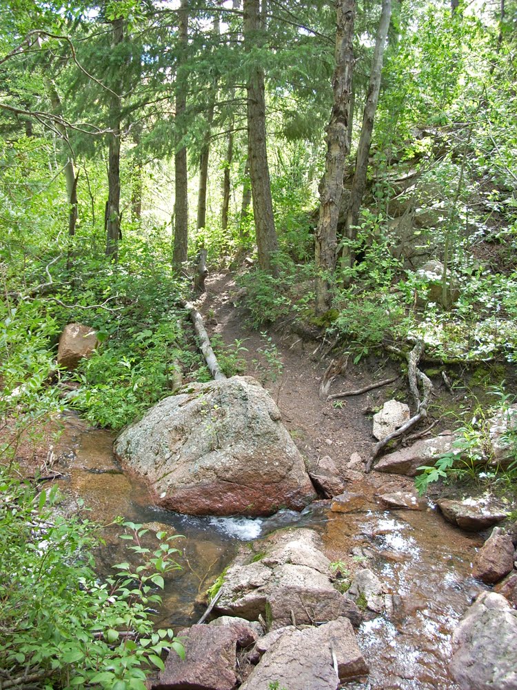 Happy Trails: Limbaugh Canyon Loop