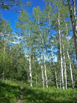 Happy Trails: Limbaugh Canyon Loop