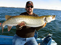 How to hold a Musky / Musky Fishing / Musky Lures