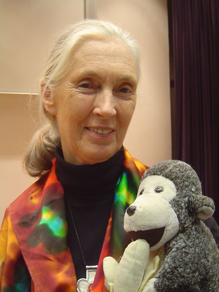 Mari da solcare: JANE GOODALL: la donna che chiama per nome gli scimpanzè