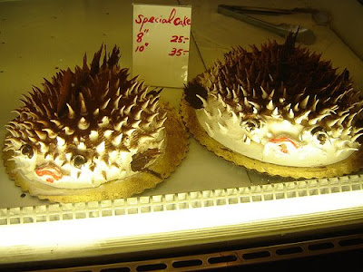 National Geographics: puffer fish pictures