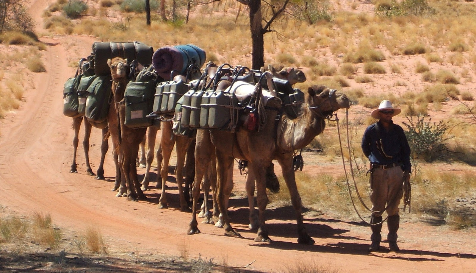 Perth to Sydney Thank You Camel Expedition