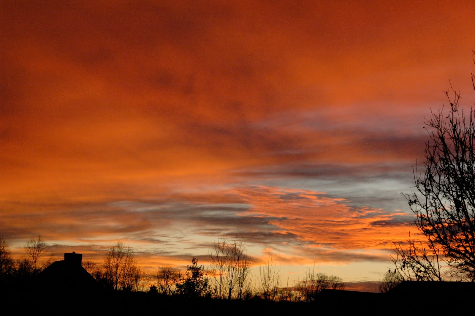 From Lens to Lens: December 28, 2008