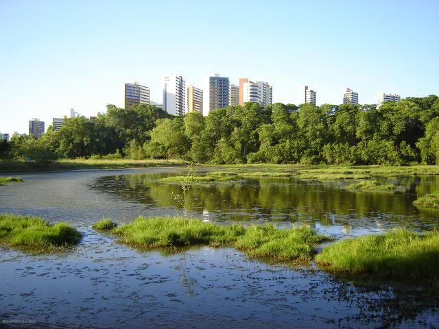 Bairros de Fortaleza - Cocó e Meireles: Parque Ecológico do Cocó