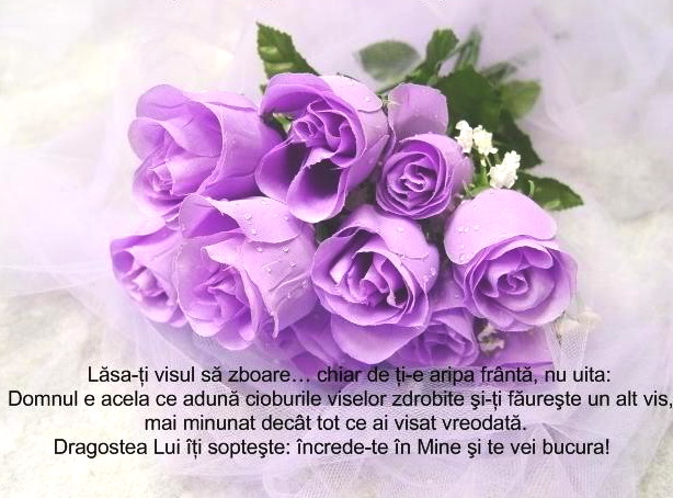 CarmenS_MOMof4: Bucuria incercarii!