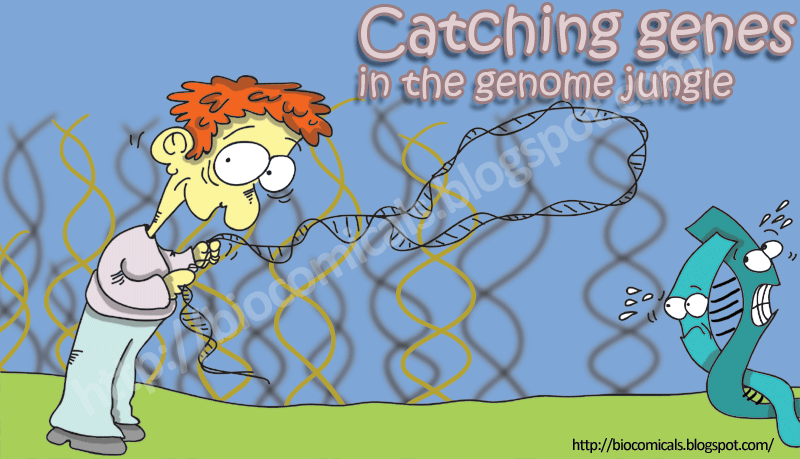 Biocomicals: December 2010