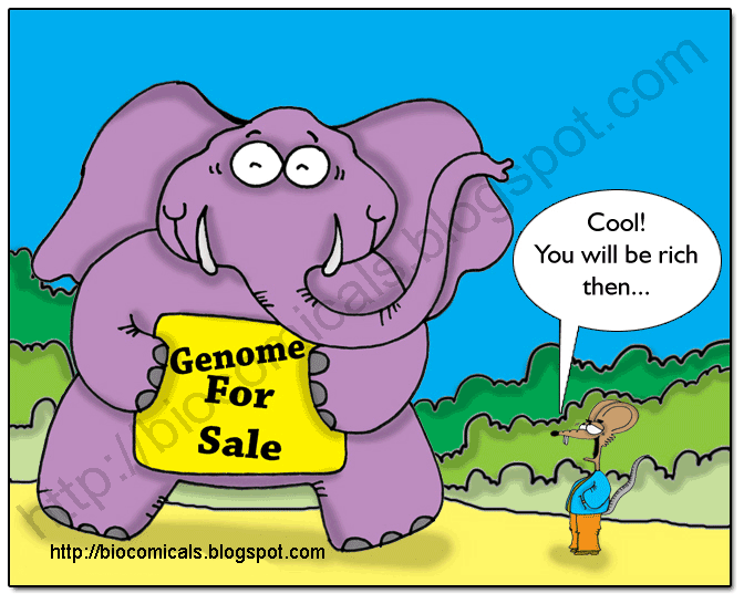 Biocomicals: December 2010