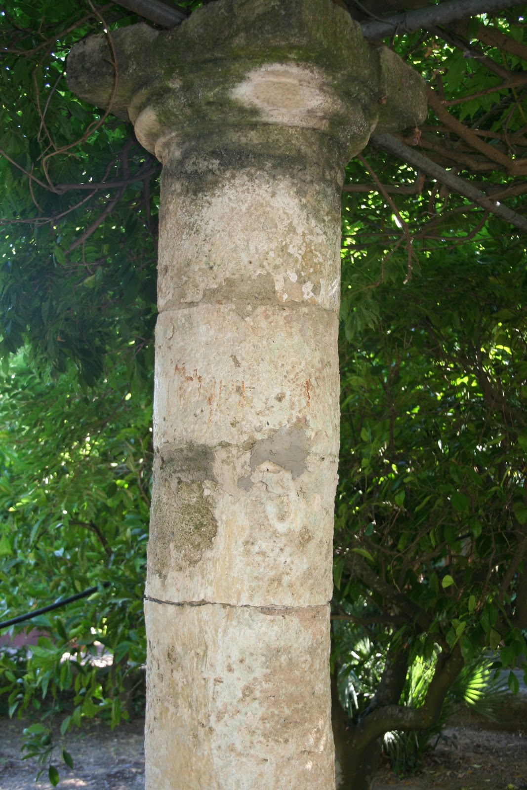 Villa San Vincenzo: James Gallimore - Pictures of the Garden