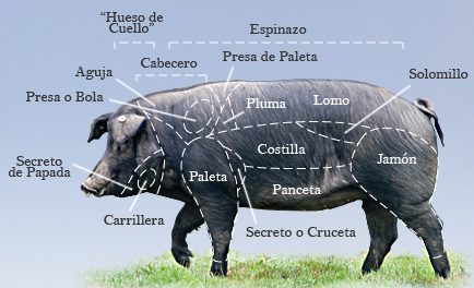 Carnicería Calabazón: SOLOMILLO