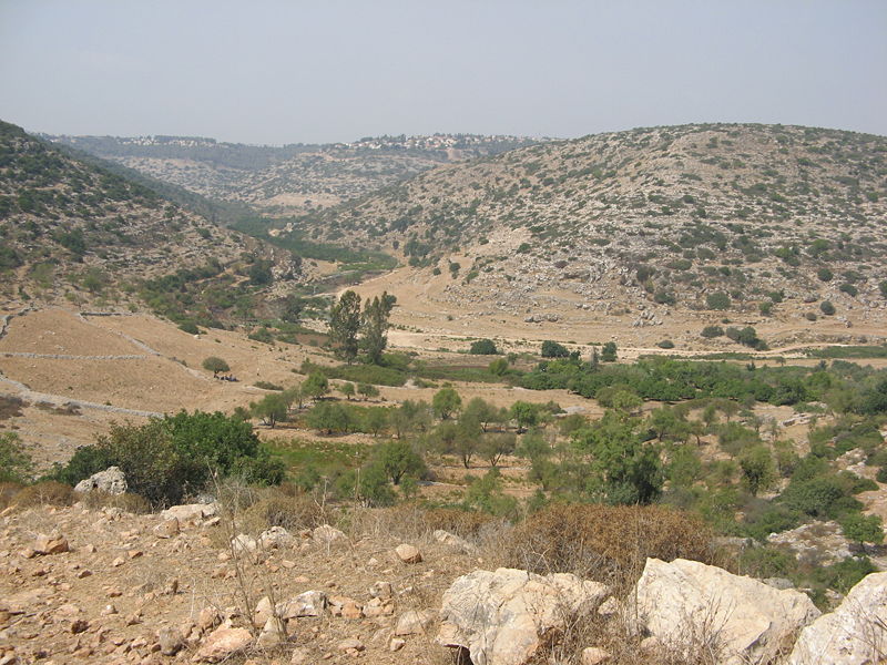 Shomron Central: 8. Shomron Day Tours
