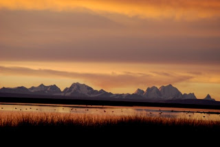 Vicco Perú: abril 2009