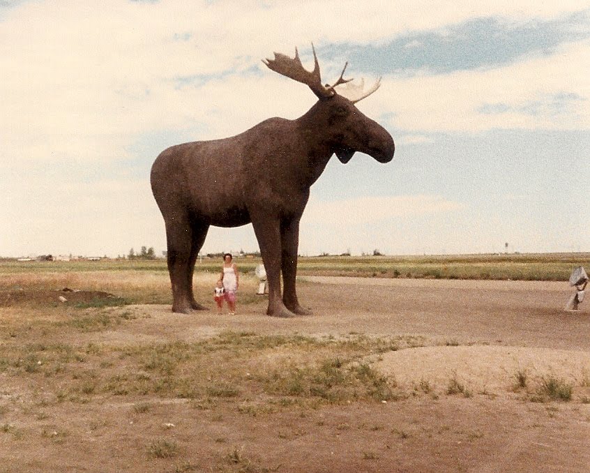 google imaged "Canada Day" this is what turned up - now terrified of ...