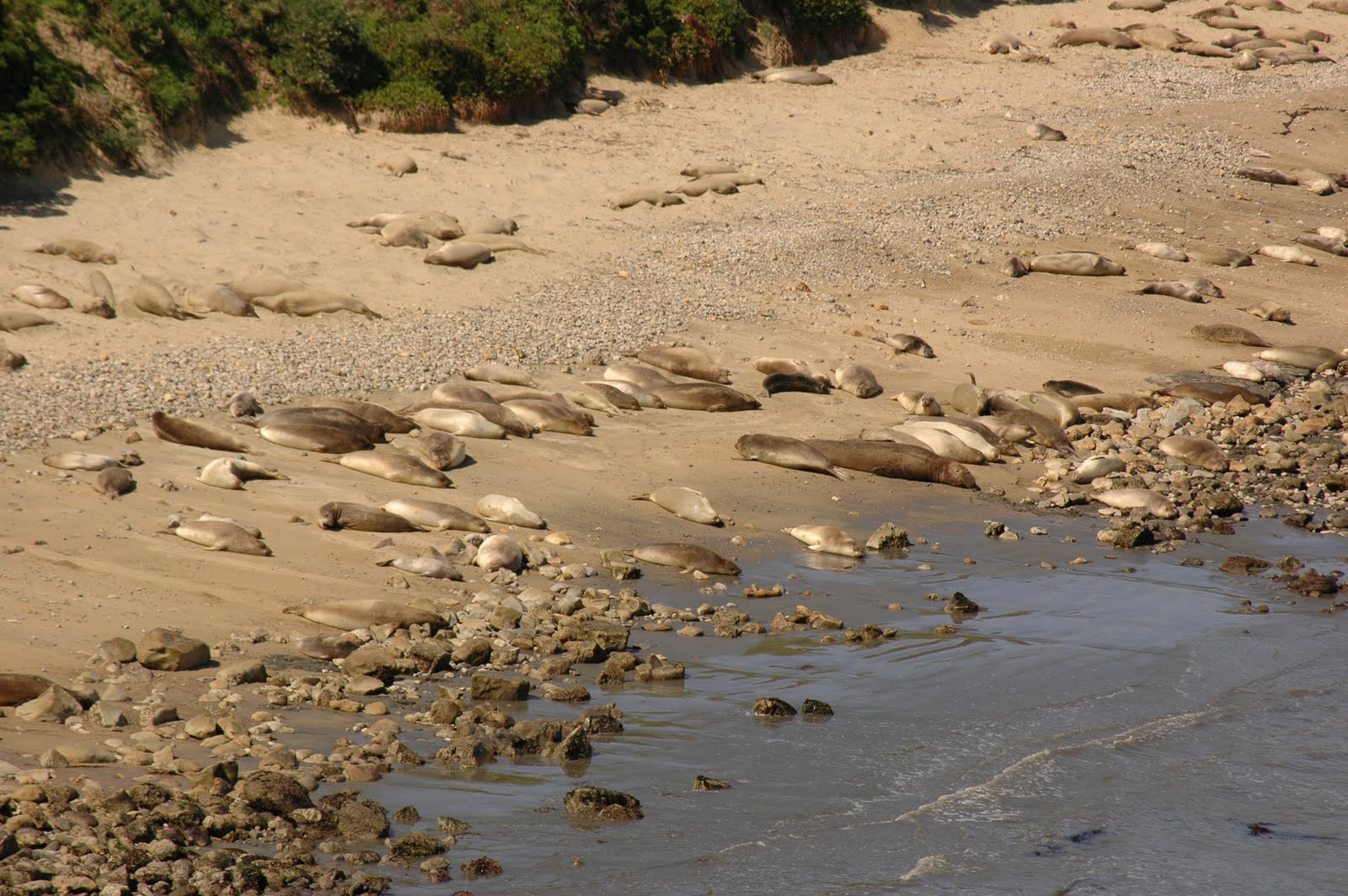 Tales of Adventure of an Ordinary Life: Point Reyes National Seashore