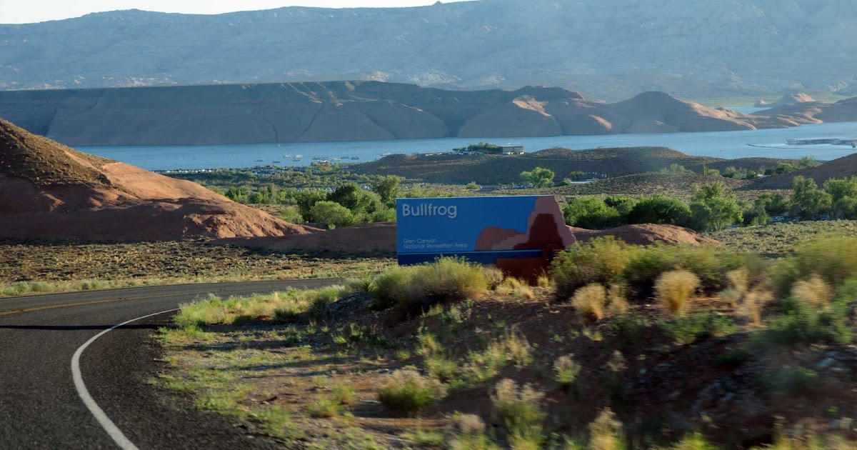 Tales of Adventure of an Ordinary Life: Summer Road Trip - Bullfrog ...