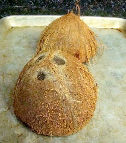 Krista's Kitchen: What To Do With A Coconut