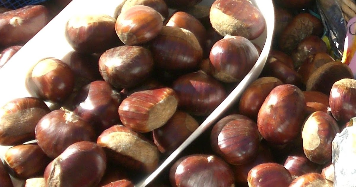 Season Of Chestnuts