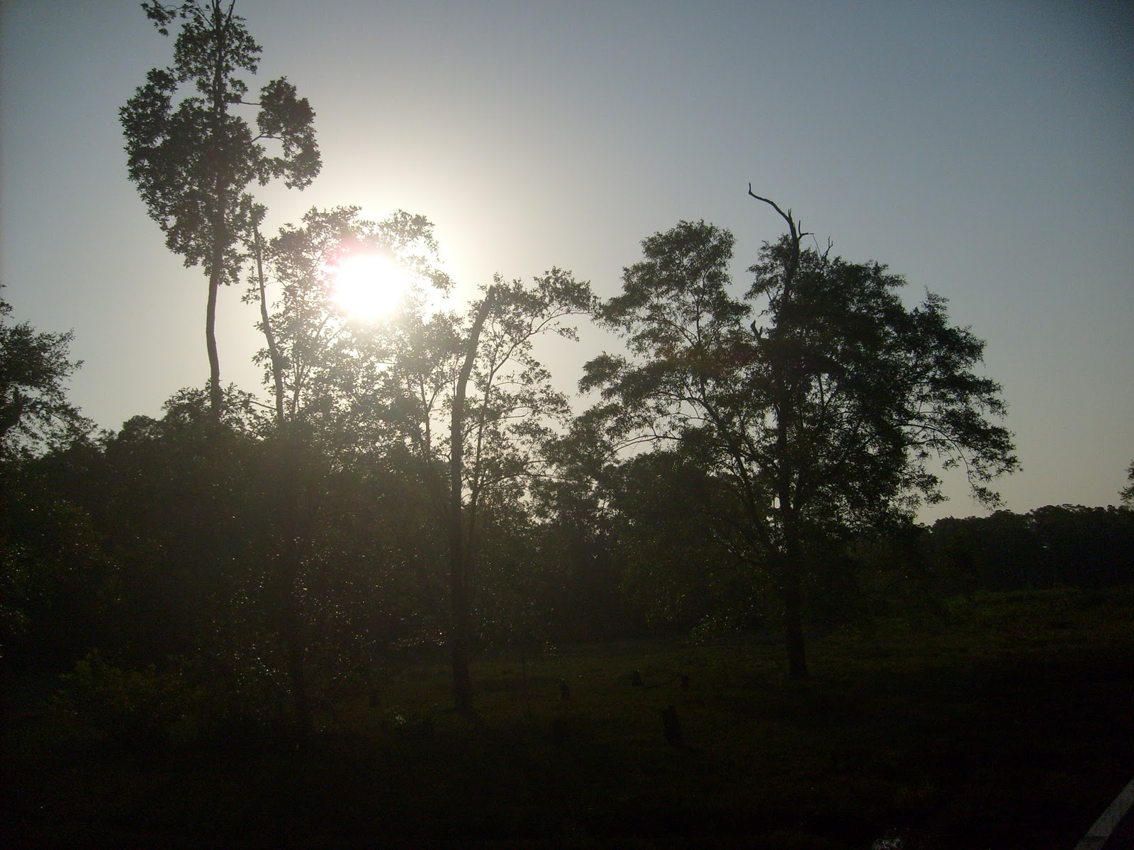 Solange Ramirez: MARAJÓ, incógnita das multiplas realidades ( Parte-01)