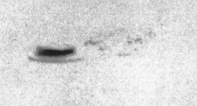 Mundo Enigmático: Rex Heflin: después de 44 años sigue en pie el ...