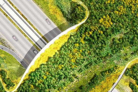 Maximizing Progress: Critter Crossings ~ Wildlife-Friendly Roadways...