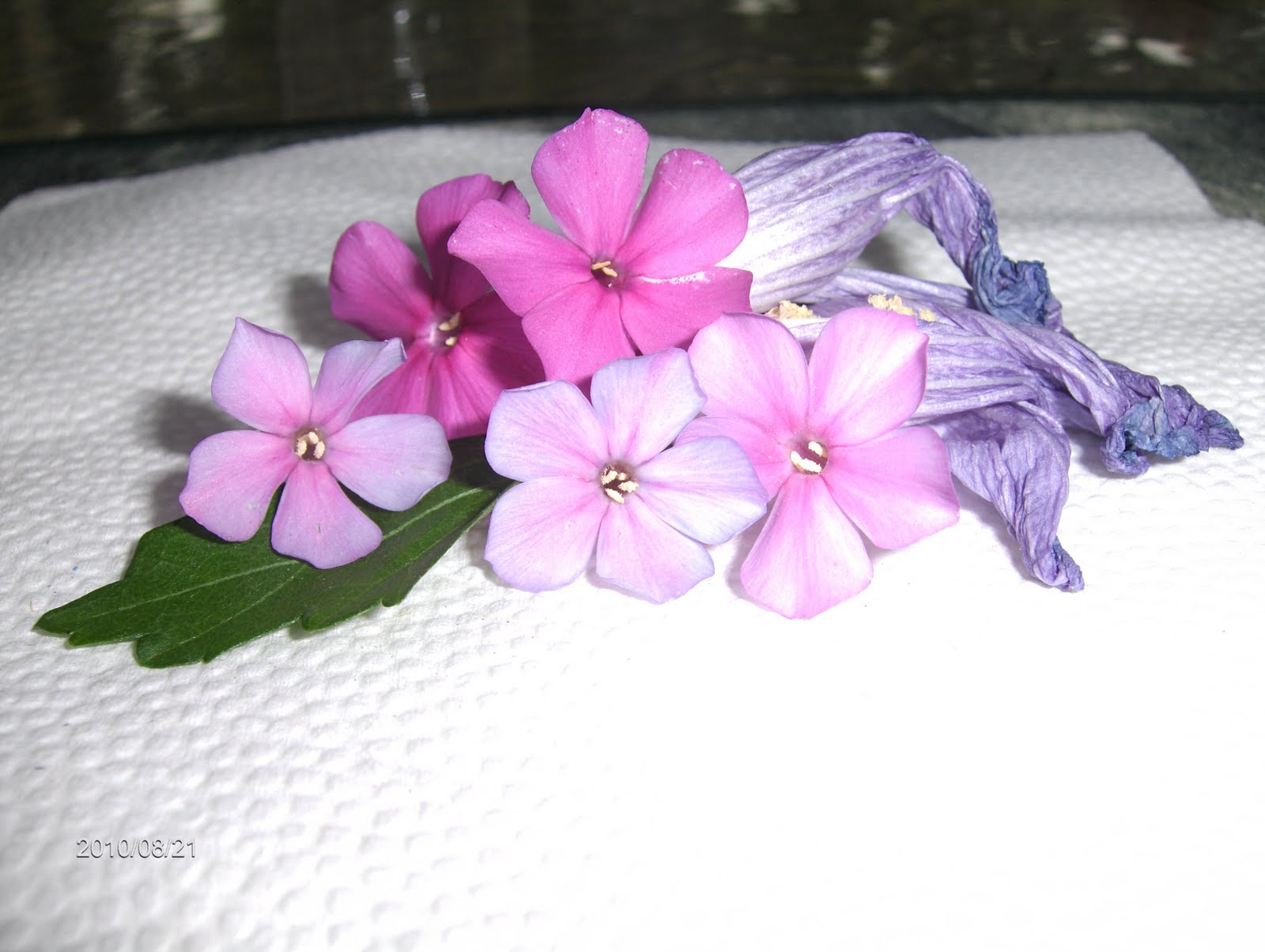 fibrejournal: Impromptu Art