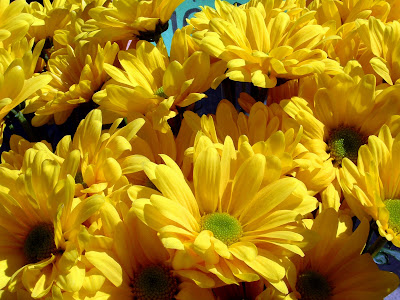 Joshua Pinkham: Color to Evoke Emotion