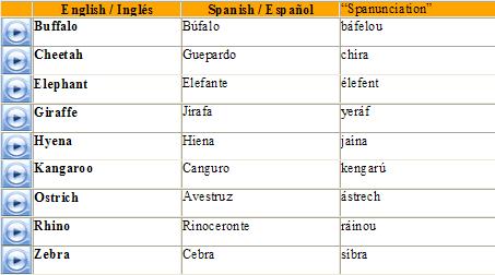 Animals: Vocabulary: Savannah animals (animals de la sabana)