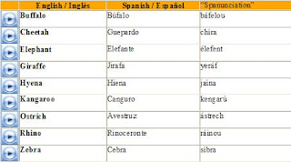 Animals: Vocabulary: Savannah animals (animals de la sabana)