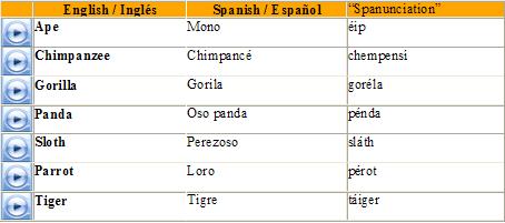 Animals: Vocabulary: Jungle Animals (animales de la jungla)