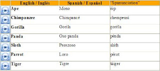 Animals: Vocabulary: Jungle Animals (animales de la jungla)