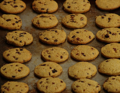 Aubergine, Sweet & Green: Cornmeal Cookies – Zalleti the Venetian Cookie