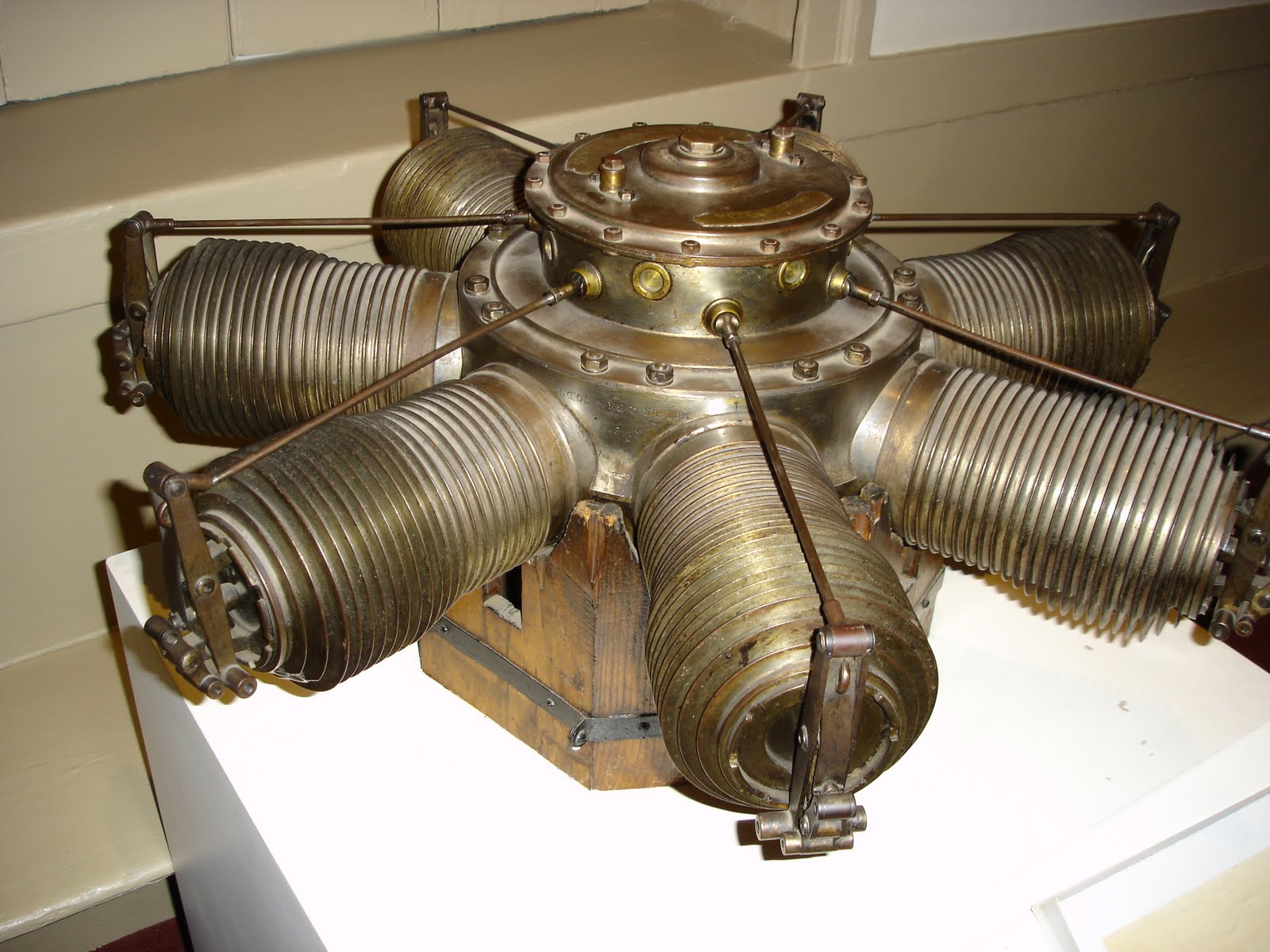 The Power to Fly: egerton's gnome