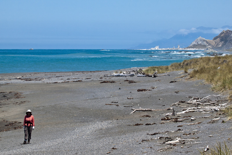 New Zealand 2010: Ward Beach and White's Bay (November 28)