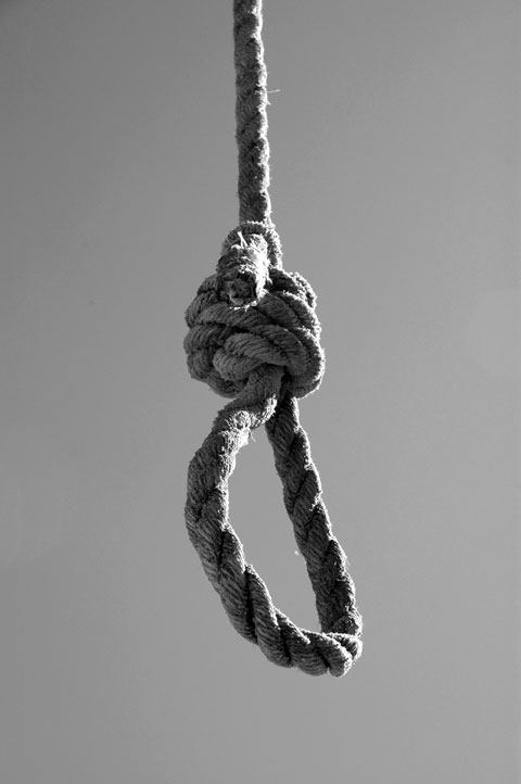 MOTIVAÇÃO & AMOR: A FORCA