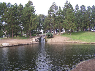 OC Birder Girl: Tewinkle Park -- Costa Mesa
