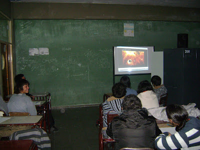 Escuela 4-130 "Prof. Jorge de la Reta": El proyector en el aula
