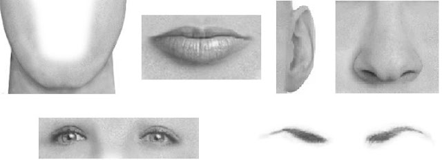 Psicología de la Percepción - UCM: Percepción Facial