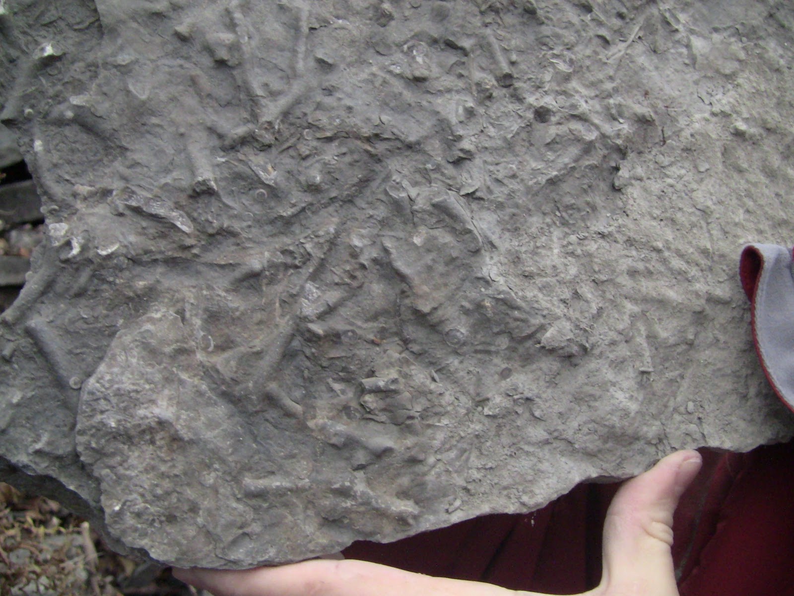 Don Valley Brick Works: November 2010