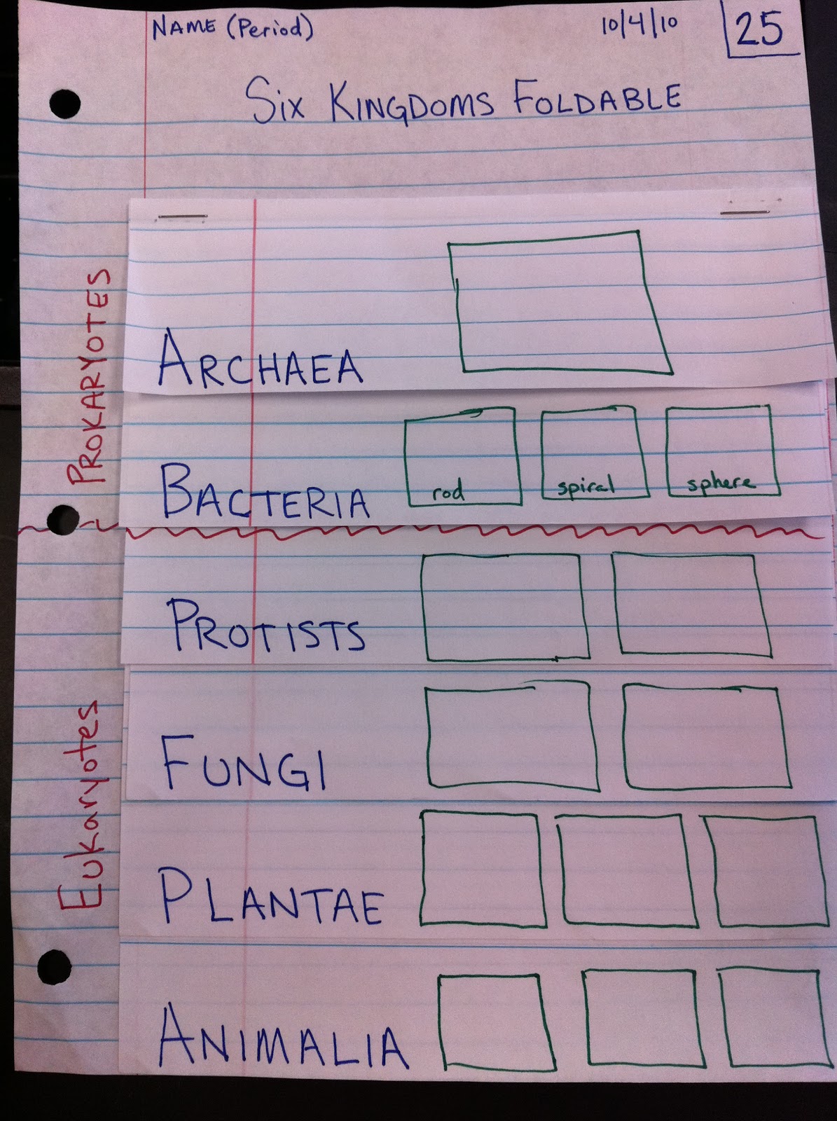 Garner 6th Grade Science Blog: SIx Kingdoms Foldable