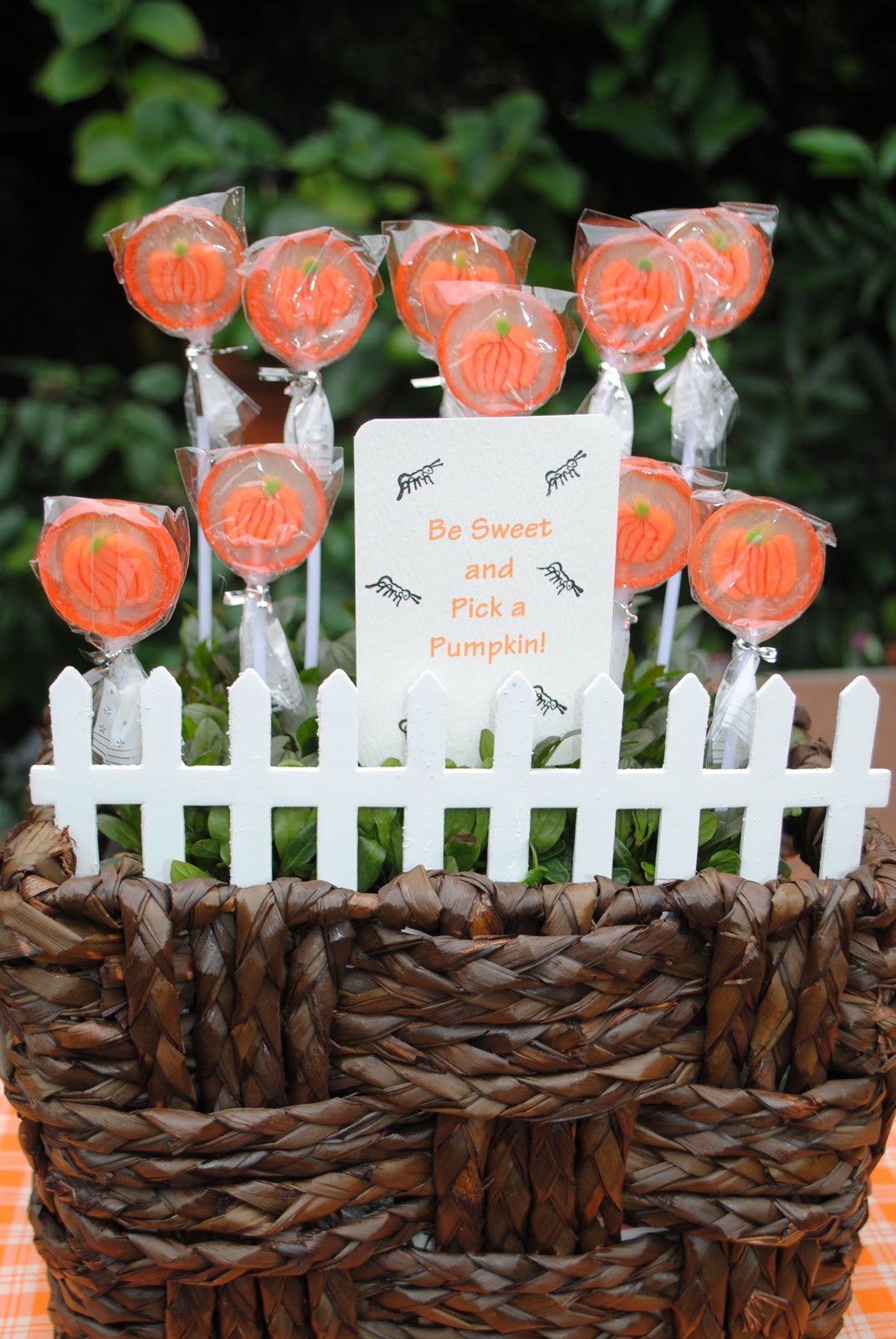 Jac o' lyn Murphy: Pumpkin Picnic!