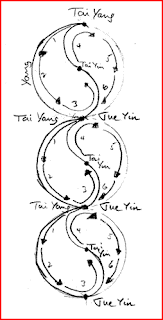 Simon Givertz - Shiatsu Blog: Yin Yang - the root of all models?