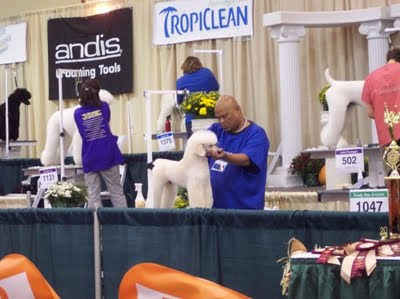 The Healthy Dog: Dog Grooming Competitions