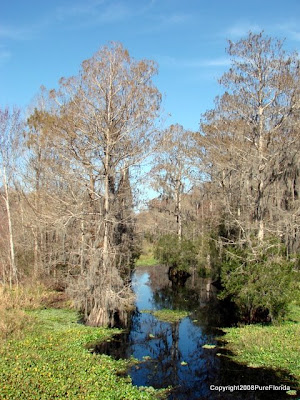 PURE FLORIDA: Crossing The River Styx