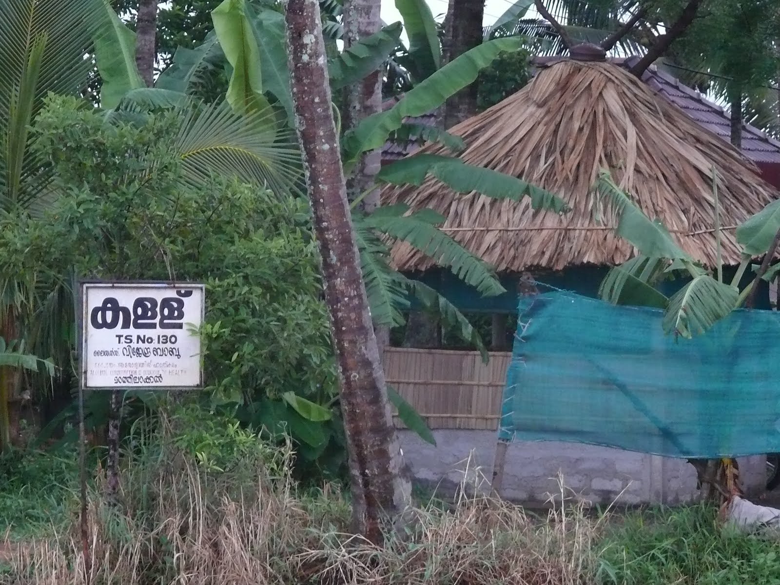 Palm to Palm: "Eda kallu Marinnu aanu" - The best kallu.