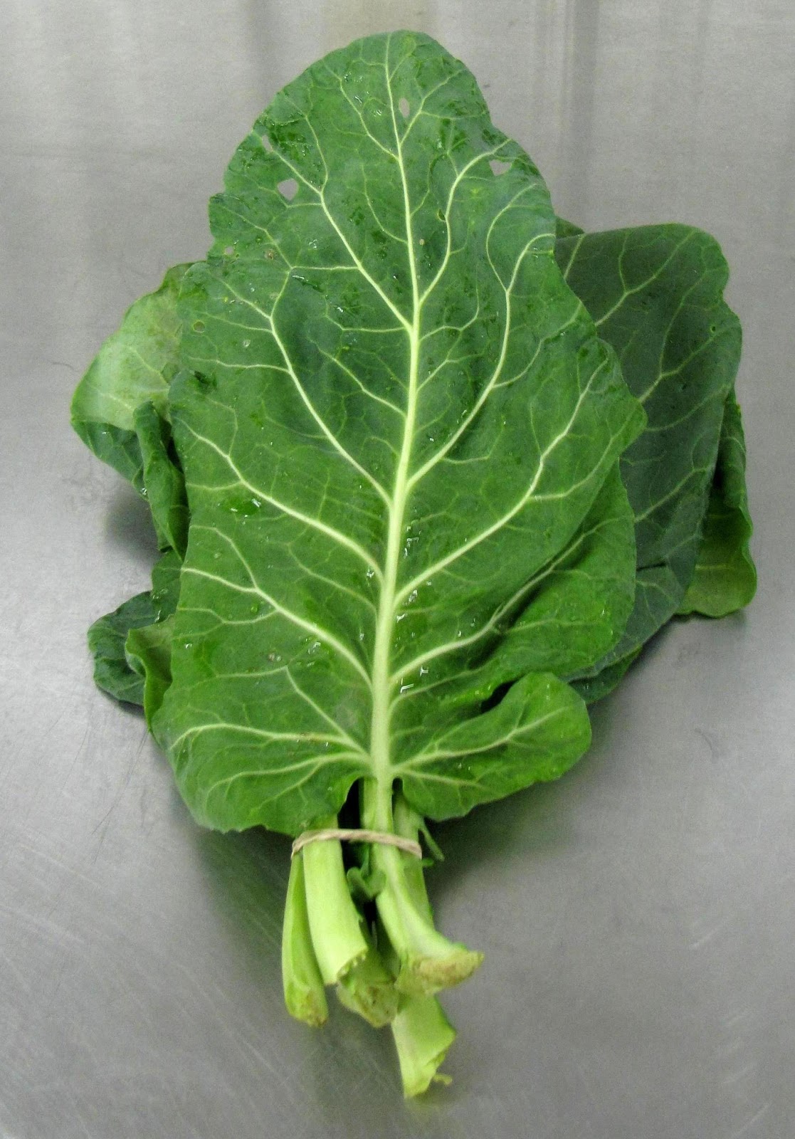 Athens Hills CSA: Vegetable Storage Information
