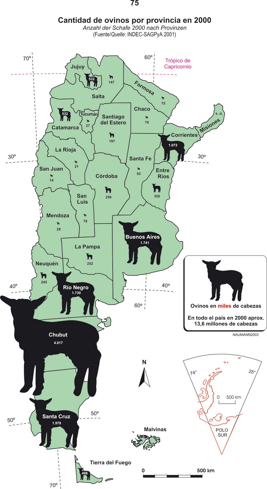 LA ESTEPA PATAGÓNICA